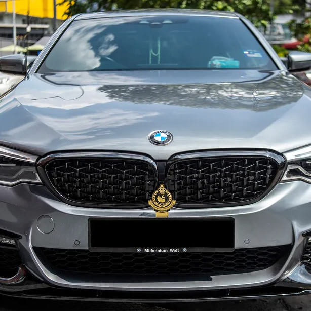BMW 5 Series G30 G31 Grill Gloss Black Diamond Style – Carbon Accents